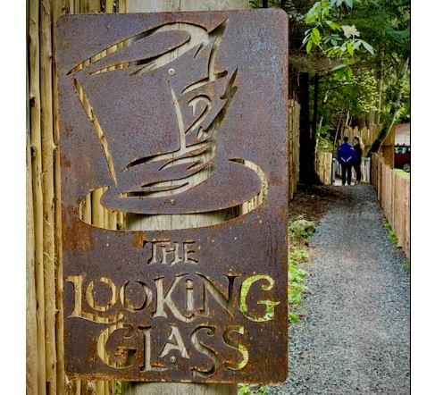 Celebrating a year of the Looking Glass trail - The Squamish Reporter