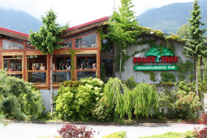Shady Tree Pub reopens today - The Squamish Reporter