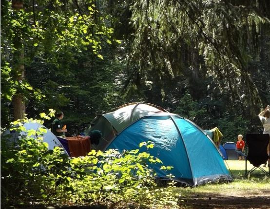 Bear activity closes campground in Garibaldi Provincial Park - The ...